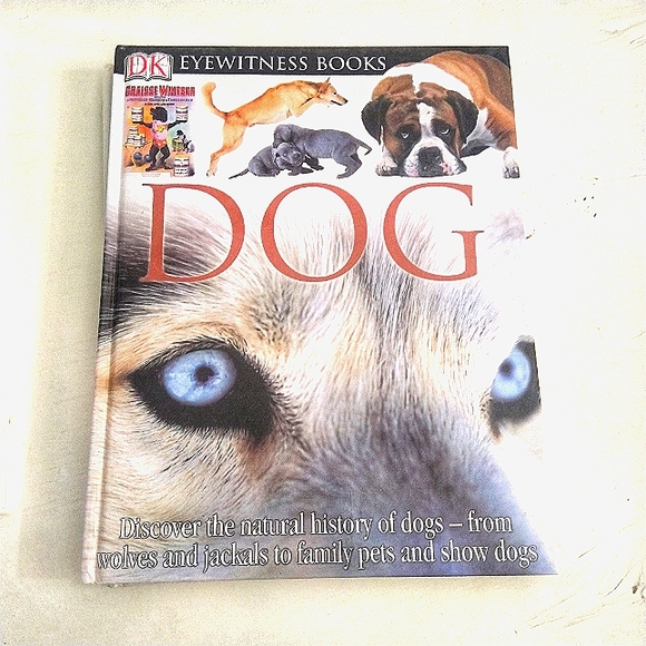 Eyewitness Books | Other | Dog Eyewitness Books | Poshmark